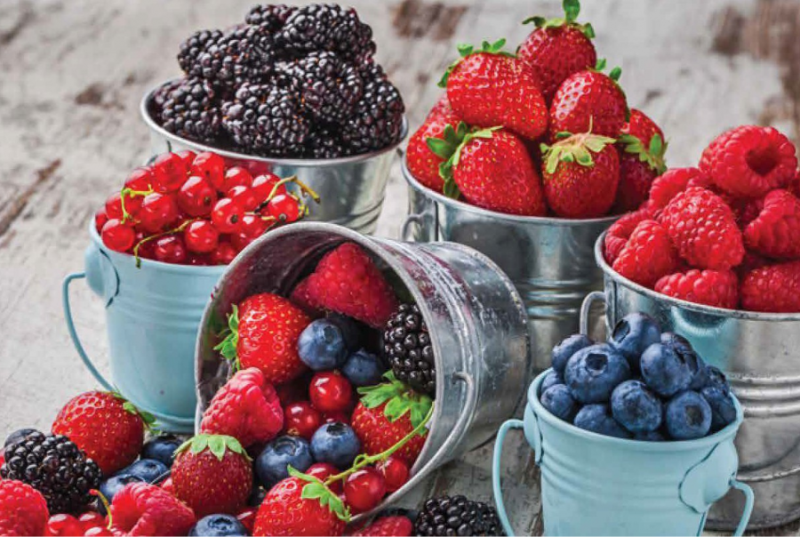 SEIDOR Analytics - Software de Gestión y Soluciones Analíticas